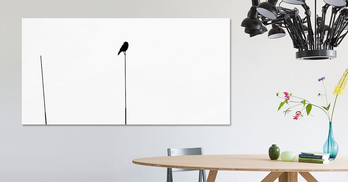 Crow van Anne Koop op canvas, behang en meer
