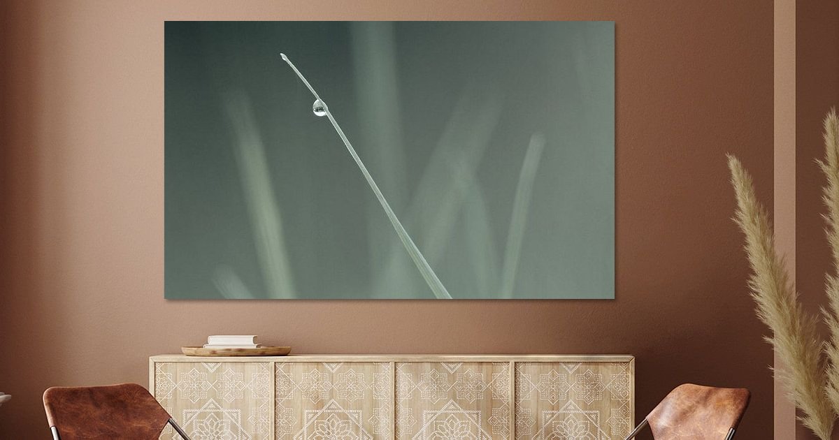 Prints uit de collectie van Anne Koop