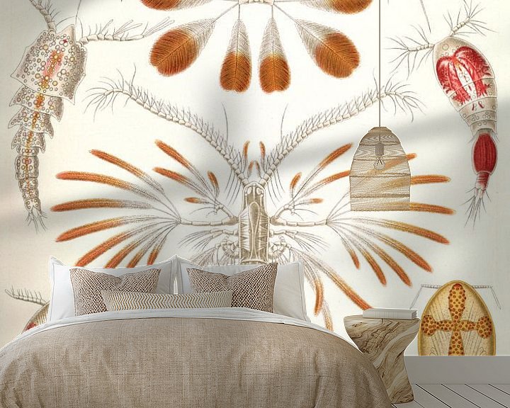 The Art and Science of Ernst Haeckel, copopod crustaceans, Copepoda ...