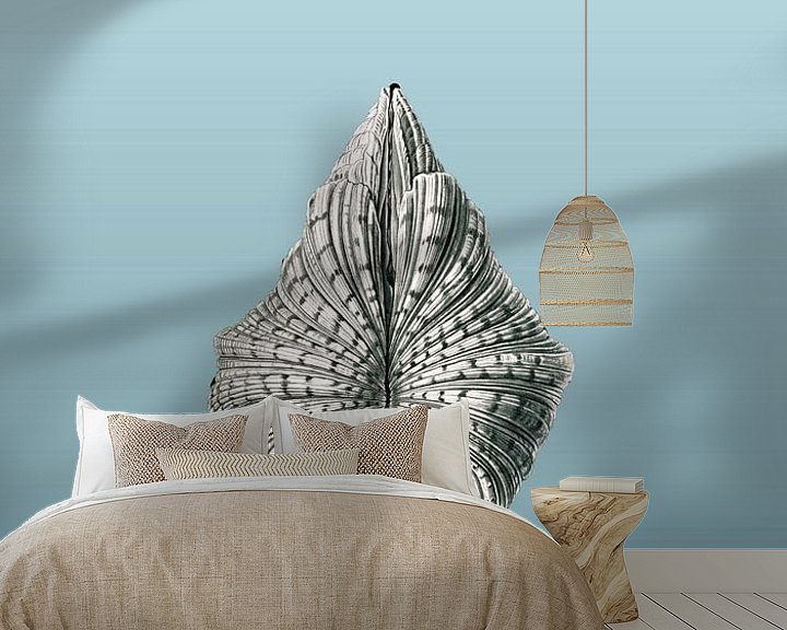 Ernst Haeckel, mossel, mollusk. Acephala, Muscheln op canvas, behang ...