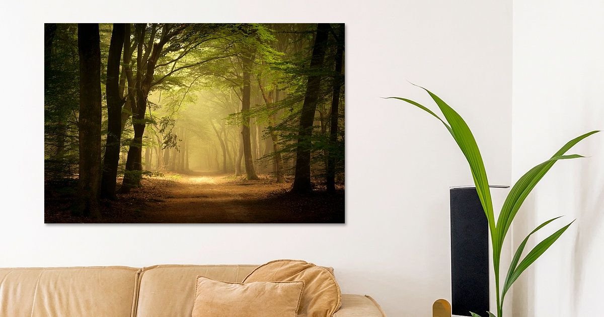 Even in the Dark there is Light. van Inge Bovens op canvas, behang en meer