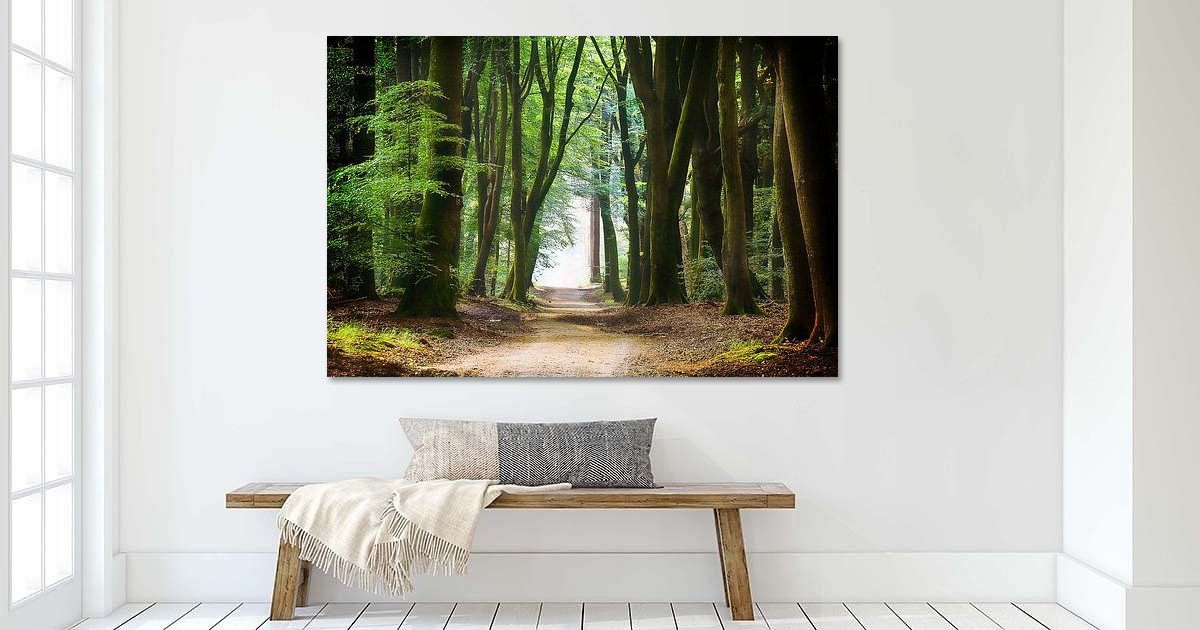 Een rustgevend pad door het bos van Rigo Meens op canvas, behang en meer