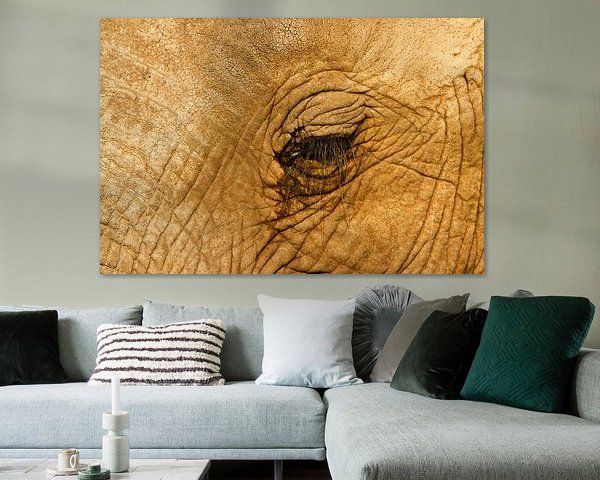 Prints uit de collectie van Mathijs Jansen