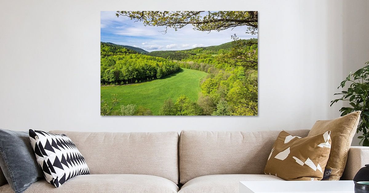 Landschaft mit Wald und Wiese im Thüringer Wald van Rico Ködder op ...