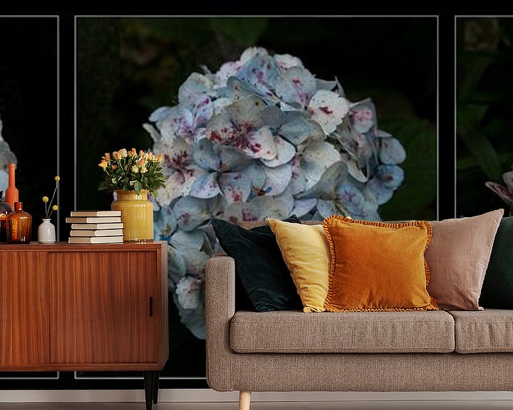 Drieluik van Hortensia 's van Hans Kool op canvas, behang en meer