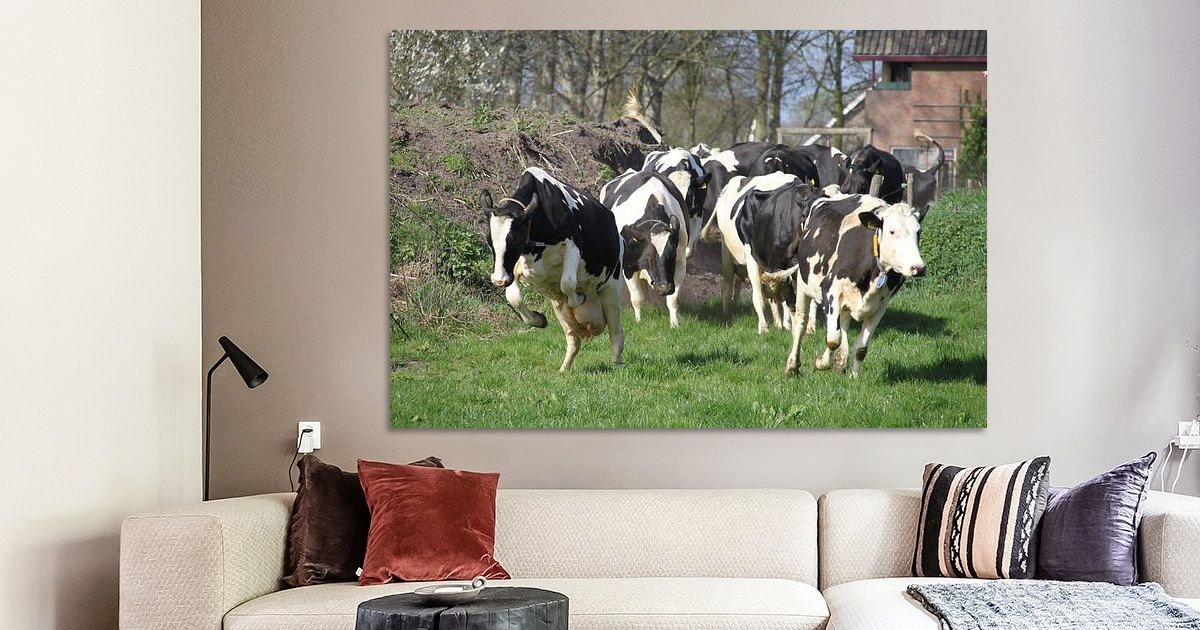 Happy Cows van Marcel van Rijn op canvas, behang en meer