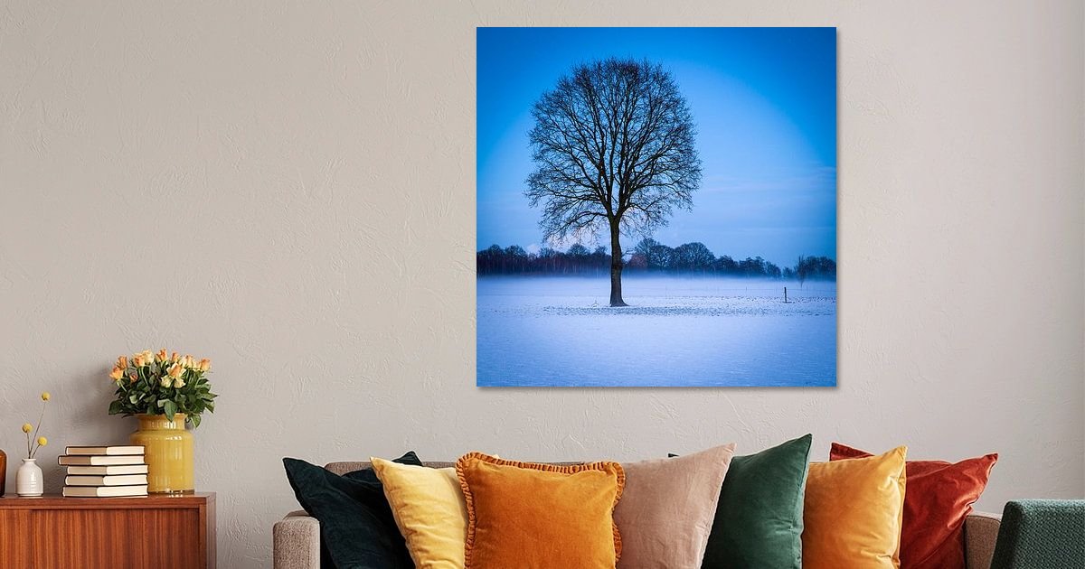 Ontdek de Magie van Winter: Deze Betoverende Boom Net Buiten Losser van ...