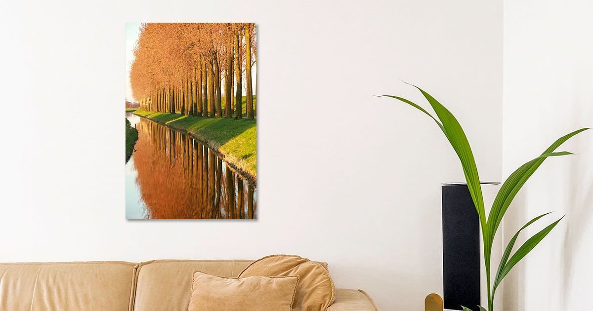 Weerspiegeling van bomen langs de Tol van Dirk Jan Kralt op canvas ...