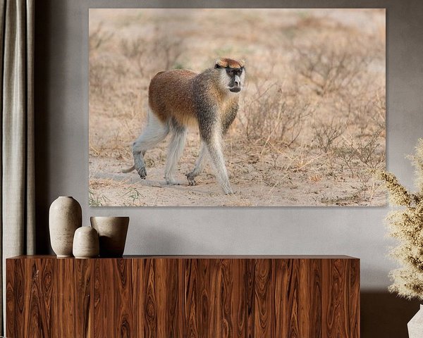 Prints uit de collectie van Hans Sinke