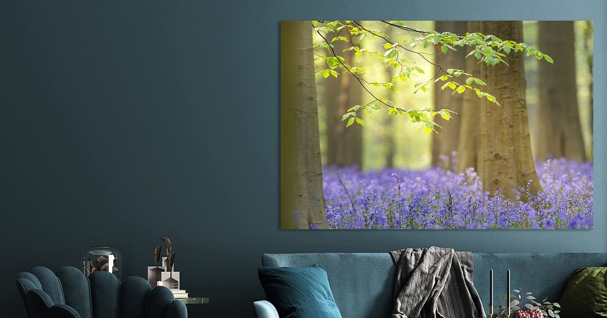 Hallerbos Art - Bluebell Forest Prints & Custom-Made Décor | Art Heroes