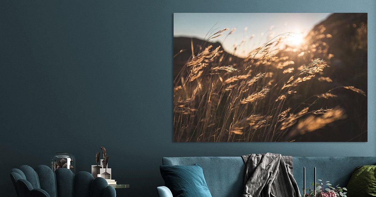 Door het gras van Mark Wijsman op canvas, behang en meer