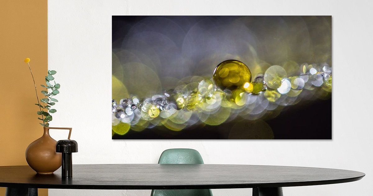 Toutes les oeuvres de Bert Nijholt