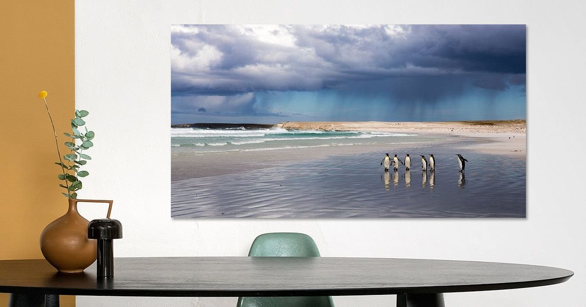 Claudia van Zanten | Discover the beautiful Artworks