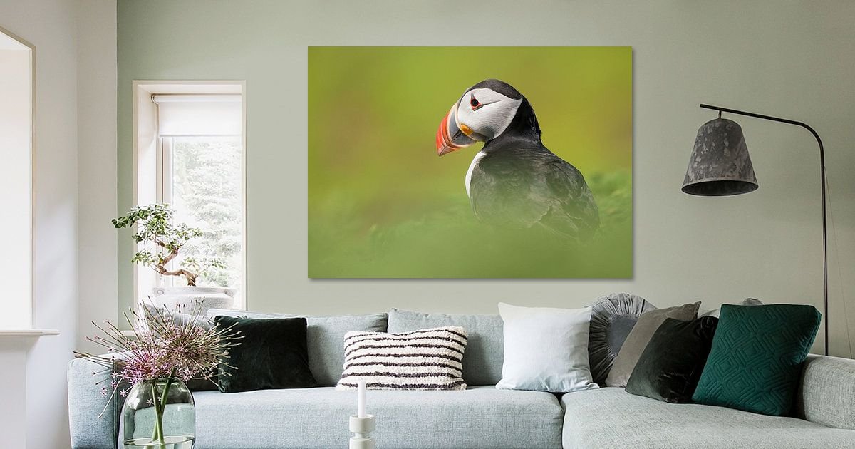 Papegaaiduiker / Puffin van Elles Rijsdijk op canvas, behang en meer