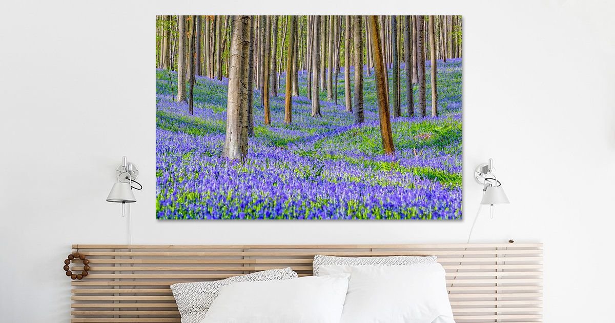 Sprookjesbos van Berend-Jan Bel op canvas, behang en meer