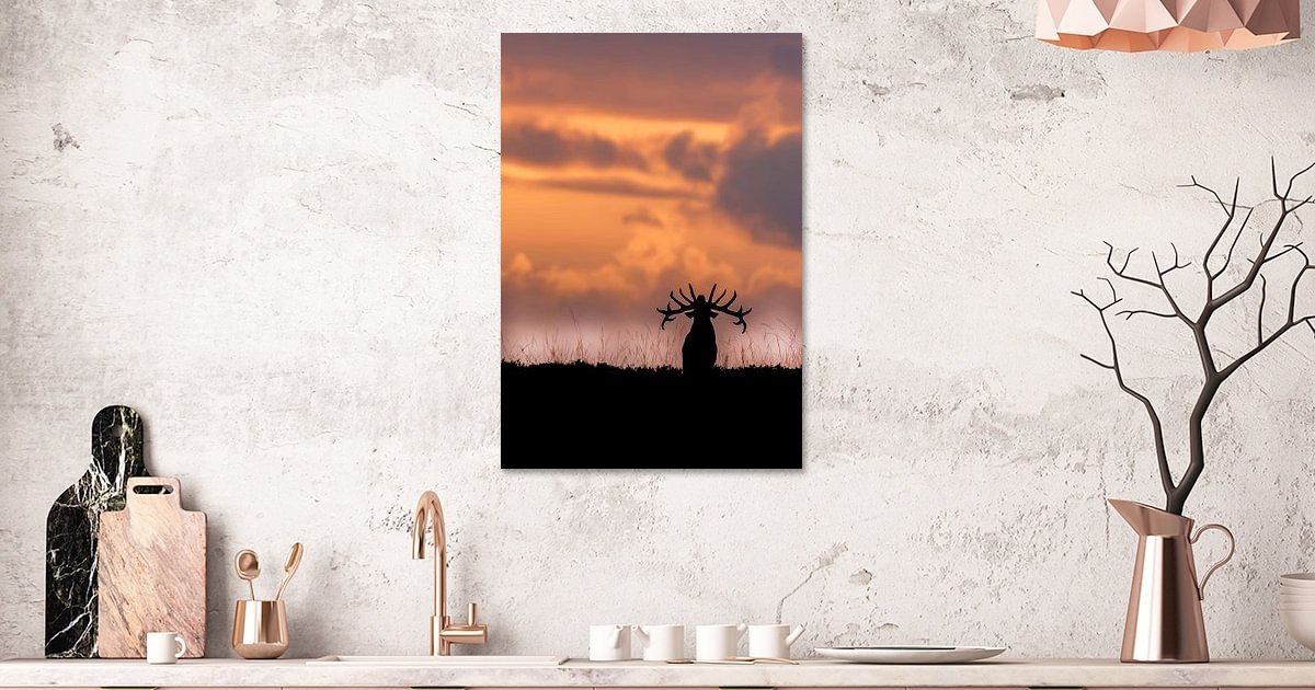 burlend edelhert bij zonsondergang van Dirk jan Duits op canvas, behang ...