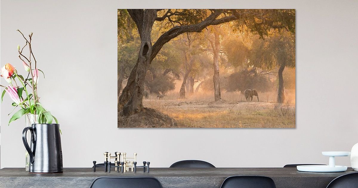 olifant in een magisch bos. van Francis Dost op canvas, behang en meer
