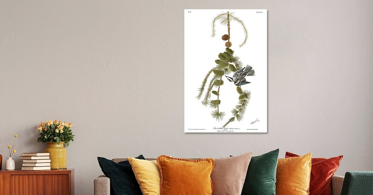 Bonte Zanger op canvas, behang, poster en meer