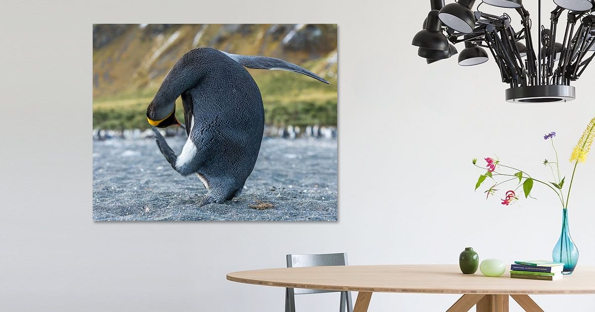 Penguin Art Prints - Explore Playful Wildlife Designs | Art Heroes