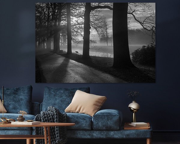 Prints uit de collectie van Hans Jonker