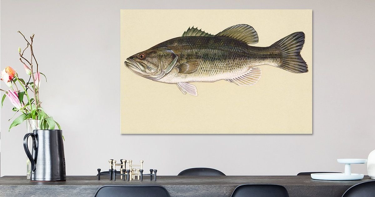 Largemouth bass fish by Fish and Wildlife on canvas, poster, wallpaper ...