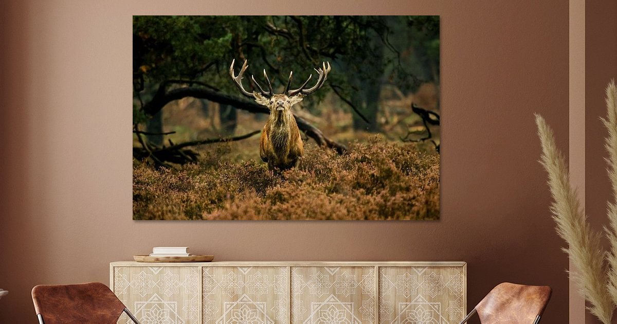 Edelhert Veluwe van Thomas Paardekooper op canvas, behang en meer