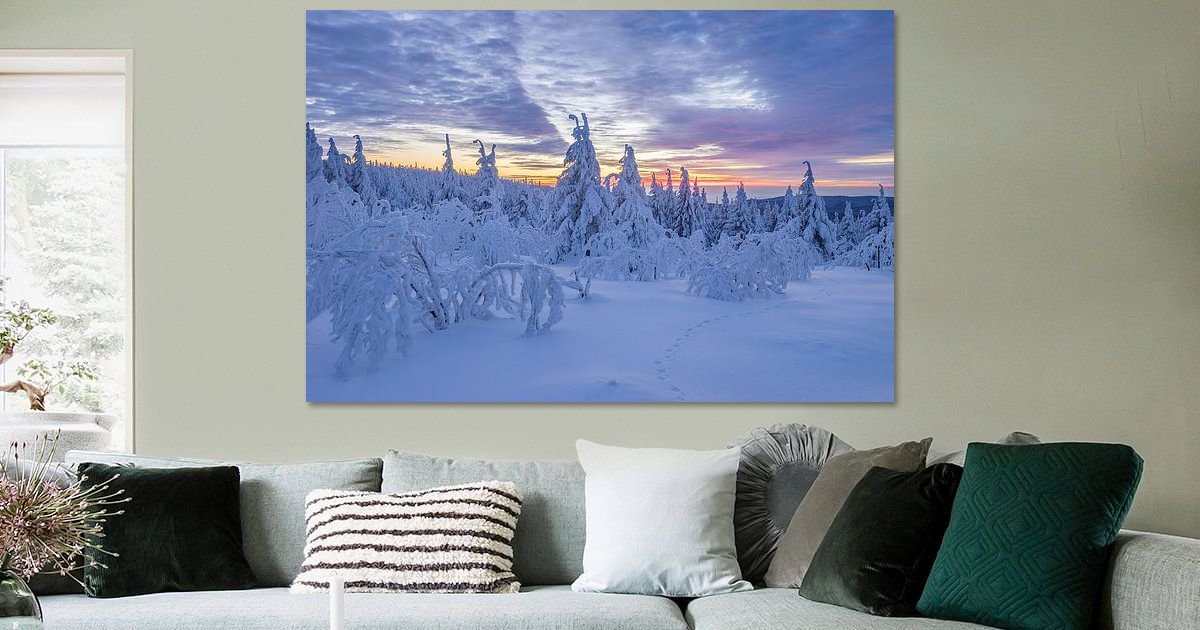 Winter in de Harz van Patrice von Collani op canvas, behang en meer