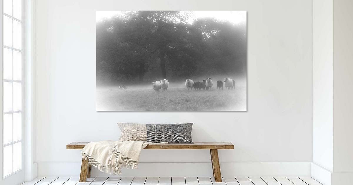 Jan Dolfing | Bestel premium kunstwerken