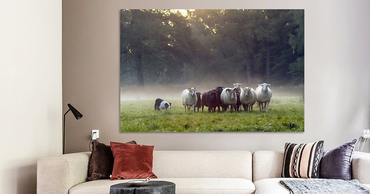 Border at Work by Jan Dolfing on canvas, poster, wallpaper and more