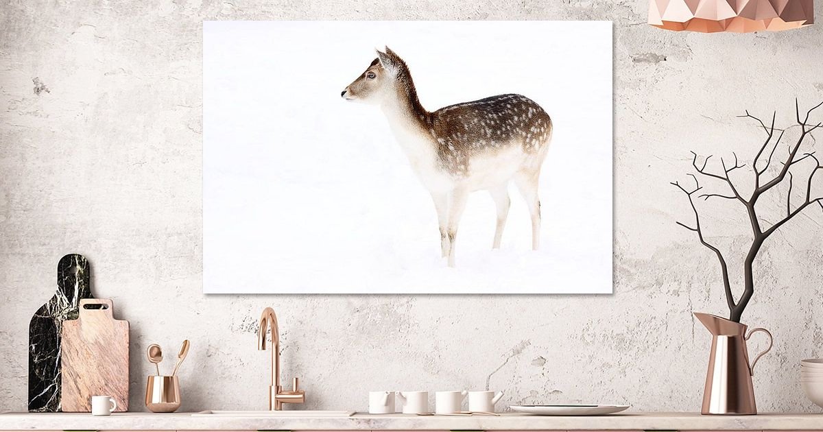 Portret damhert in de sneeuw van MSP Canvas op canvas, behang en meer
