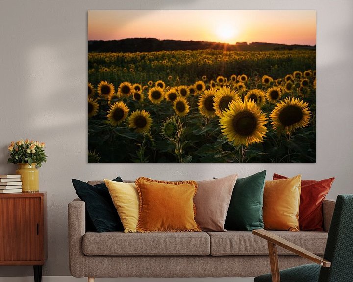 Zonnebloemen in Frankrijk van Mark Wijsman op canvas, behang en meer