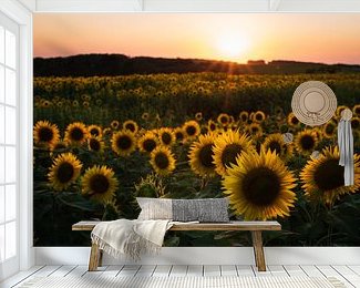 Zonnebloemen in Frankrijk van Mark Wijsman op canvas, behang en meer