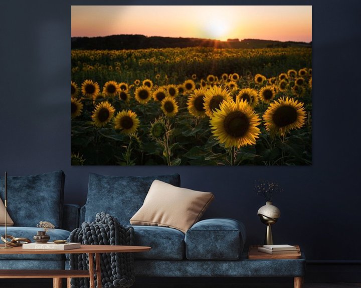 Zonnebloemen in Frankrijk van Mark Wijsman op canvas, behang en meer