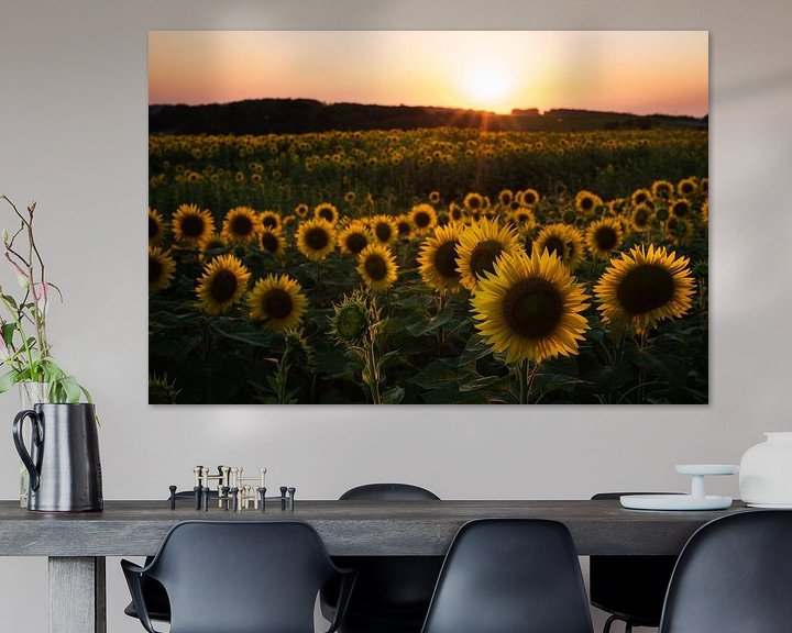 Zonnebloemen in Frankrijk van Mark Wijsman op canvas, behang en meer