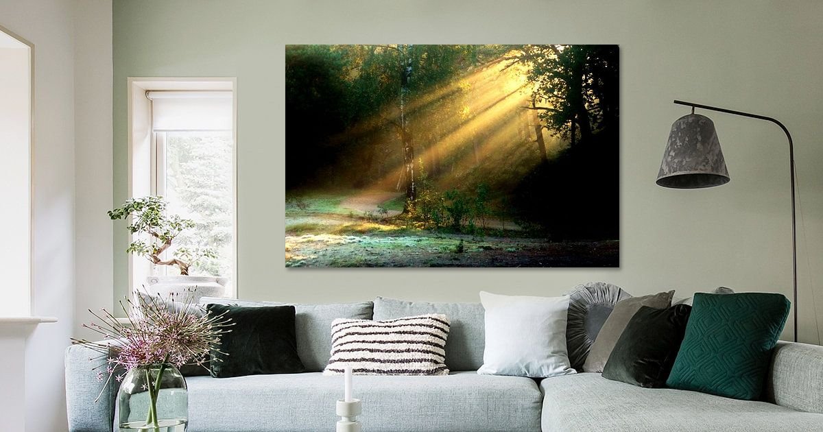 Bos met strijklicht. van Lex Boon op canvas, behang en meer