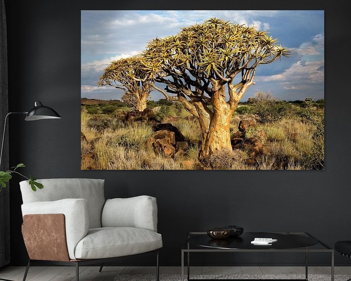 Canopy trees in Namibia by Jan van Reij on canvas, poster, wallpaper ...