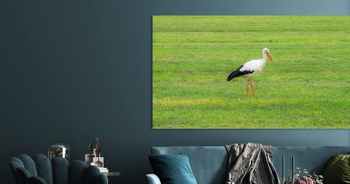 Patrick Sanders | Bestel premium kunstwerken