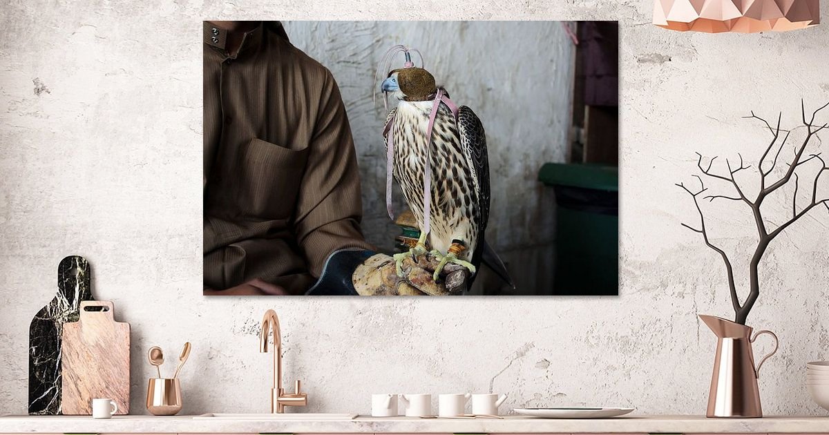 Falkner mit Falknerei Falke in Doha, Katar von iPics Photography auf ...