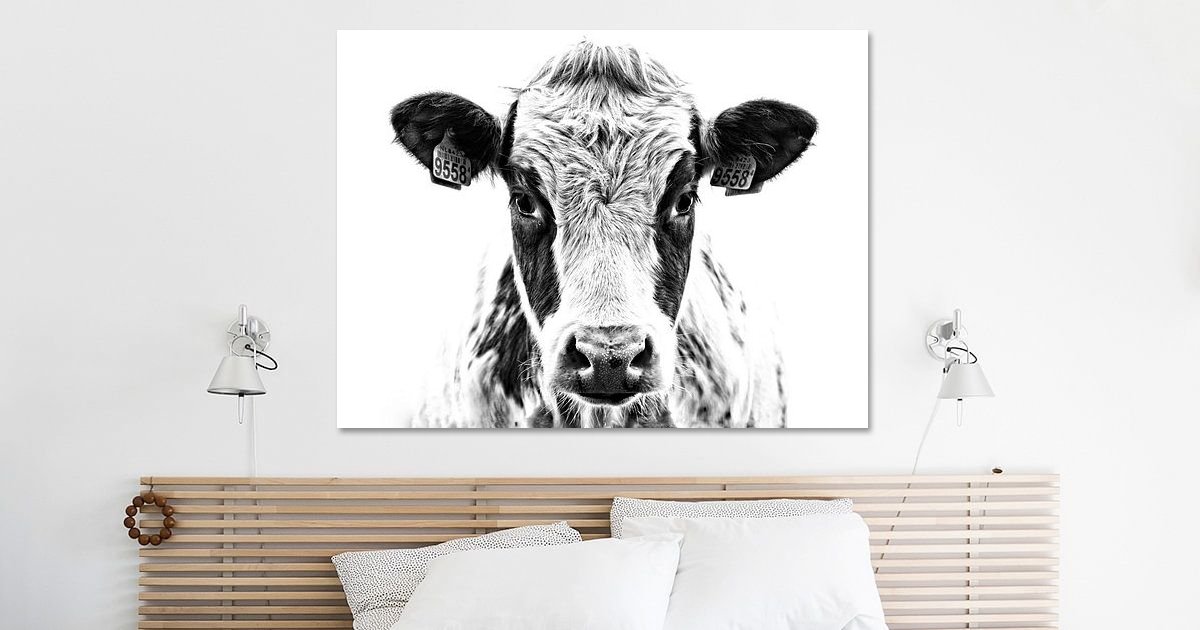 Portrait einer neugierigen Kuh in Schwarzweiss von Jessica Berendsen ...