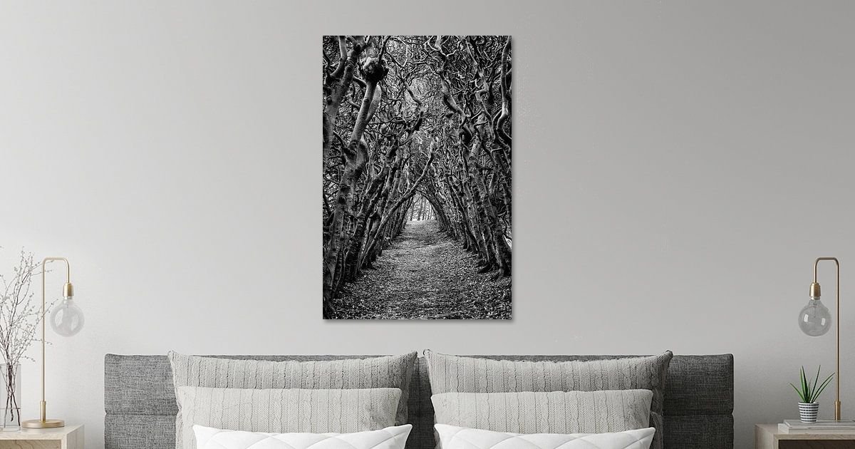 Bomentunnel; Beuken loofgang van Mayra Fotografie op canvas, behang en meer