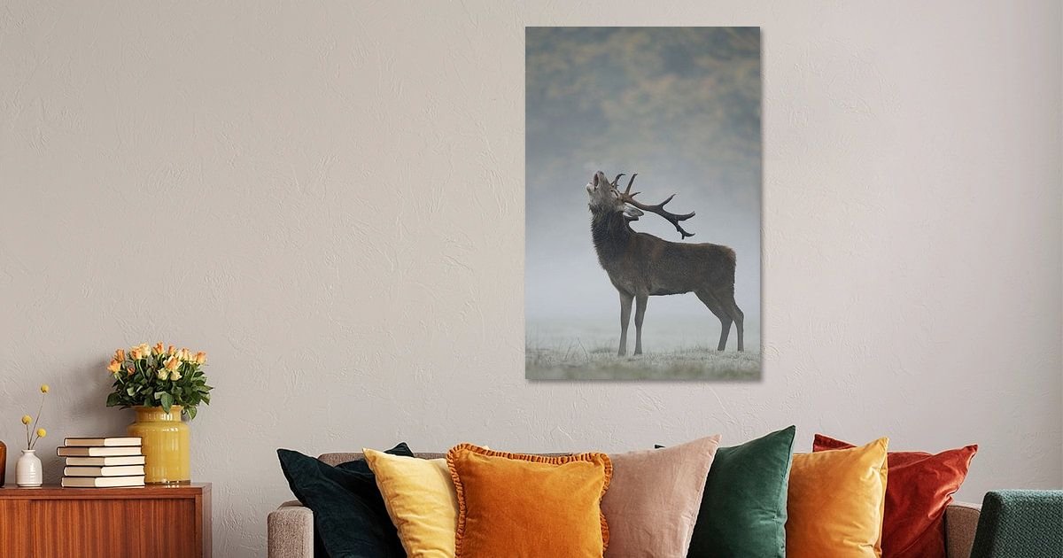 de schreeuw... Edelhert *Cervus elaphus* van wunderbare Erde op canvas ...