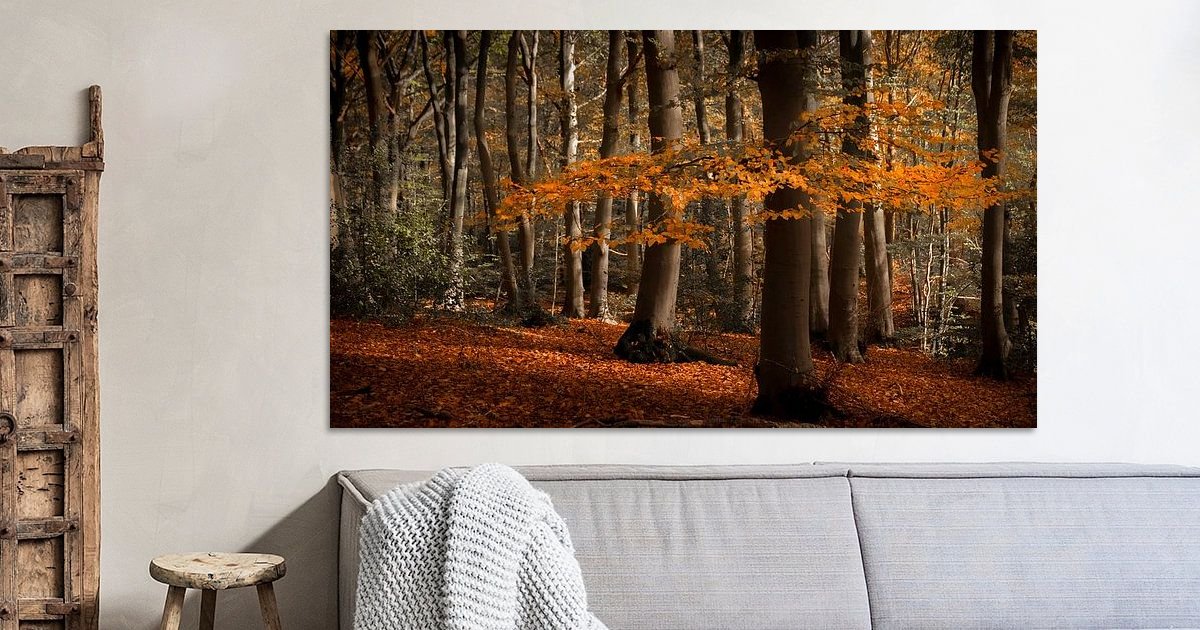 Autumn leaves on a branch and at the bottom on St. John's Mountain by ...