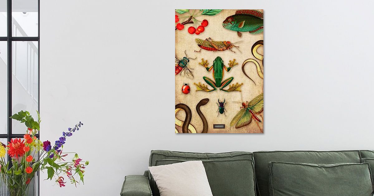 Prints uit de collectie van Studio POPPY