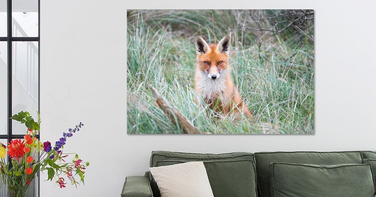Rode vos in het gras van Inge van den Brande op canvas, behang en meer