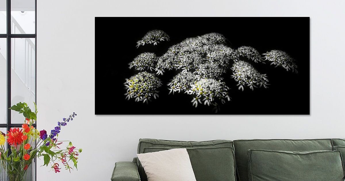 Bert Seinstra | Discover the beautiful Artworks