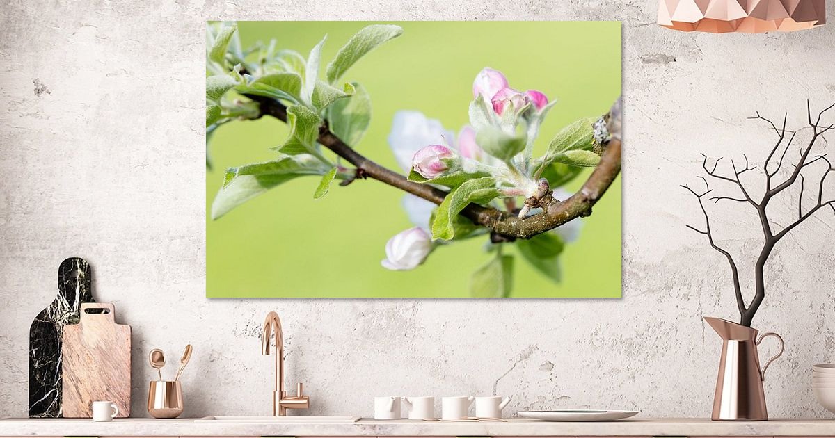 Kunst van Daan van Oort | Werk aan de Muur