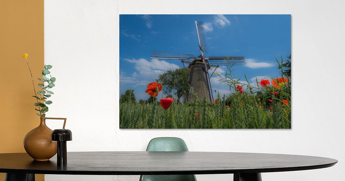 Molen tussen veldbloemen van Moetwil en van Dijk - Fotografie op canvas ...