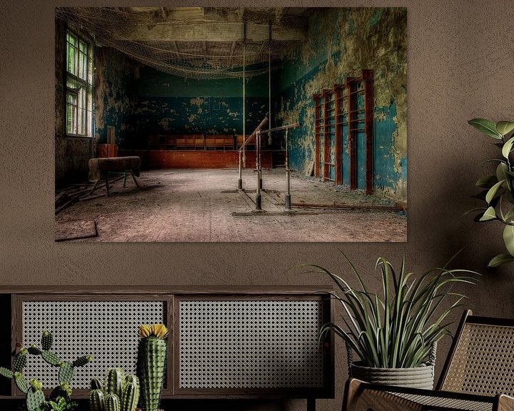 The gymnasium by Steve Mestdagh on canvas, poster, wallpaper and more