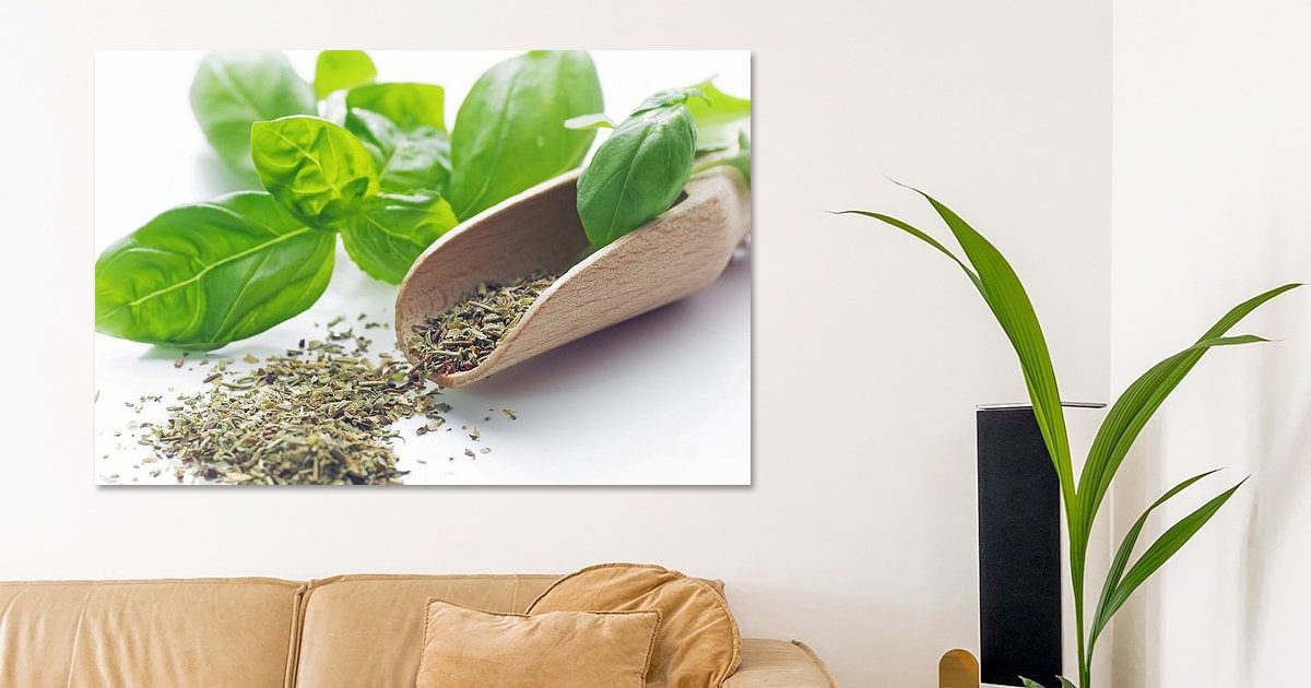 Verse basilicum voor de keuken van Tanja Riedel op canvas, behang en meer