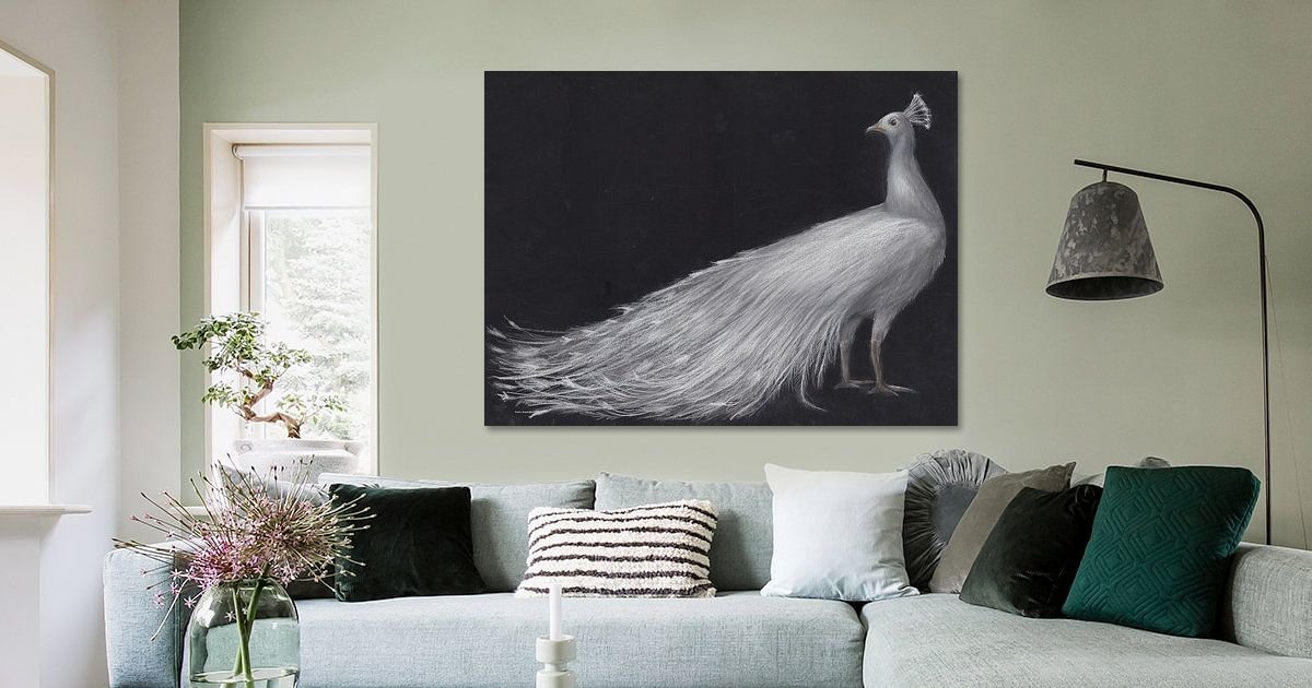 Weißer Pfau von Rosita Boeding auf ArtFrame, Leinwand, Poster und mehr ...